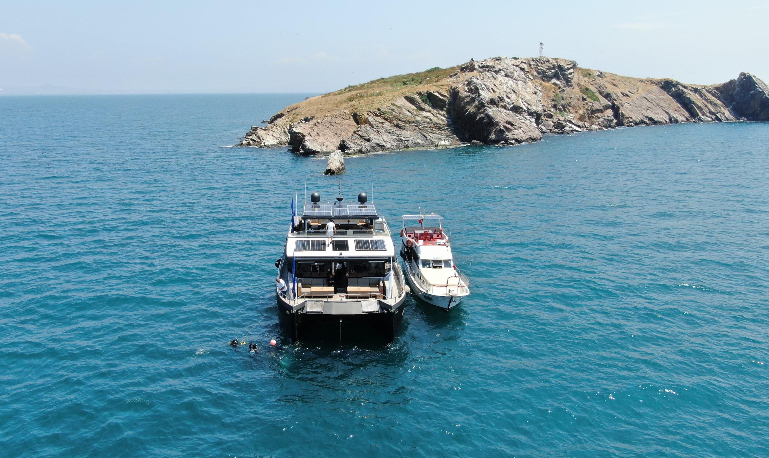 The Yellow coral planted on Tavsan Island were observed by diving ...