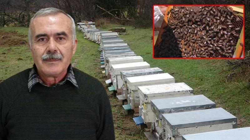Prof. Dr. Baytekin: Arılarımızı soğuk hava depolarında bekletebiliriz ...