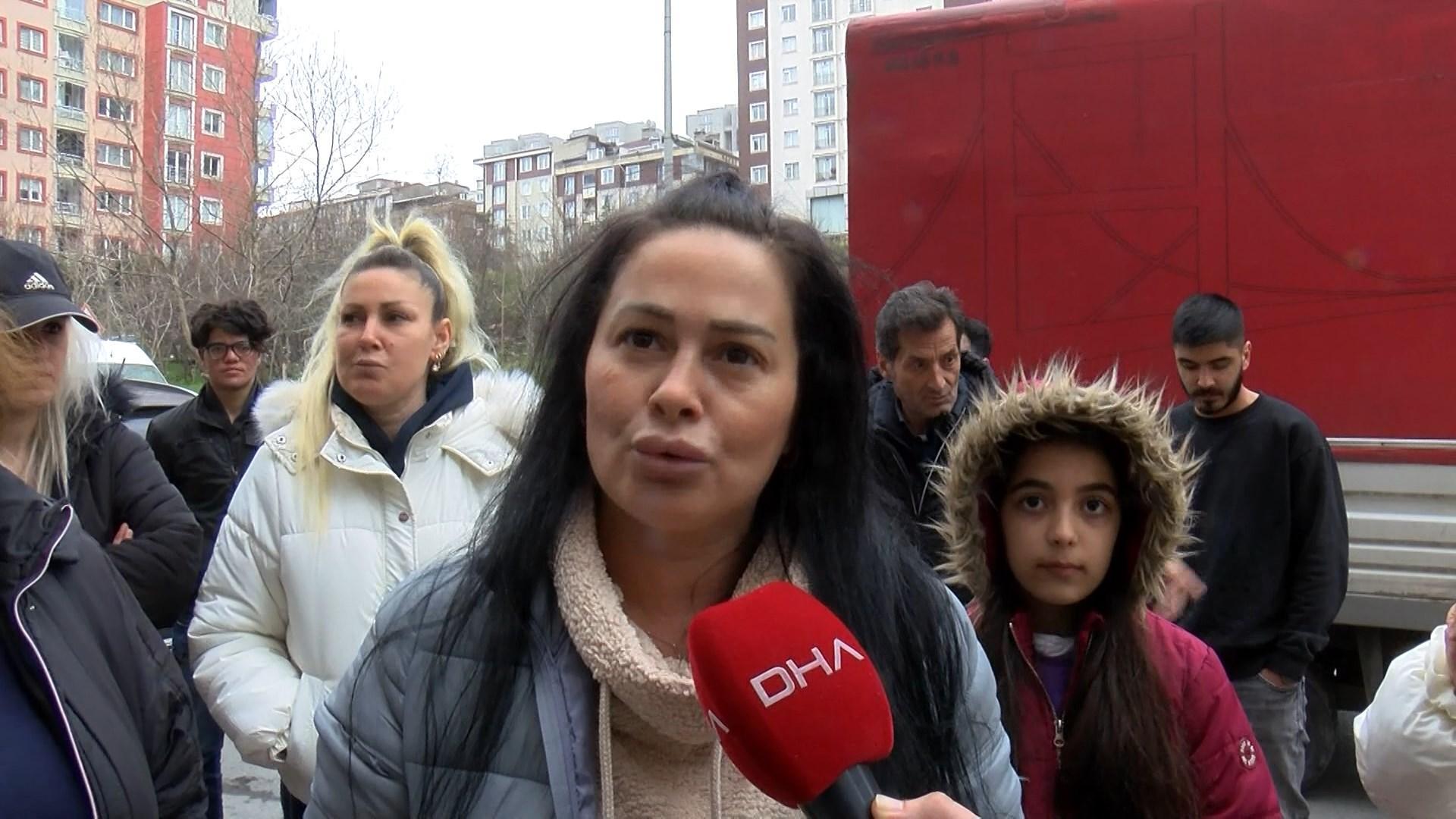 Esenyurt'ta yavru kedilerin öldürüldüğü iddiası - Son Dakika Gündem ...