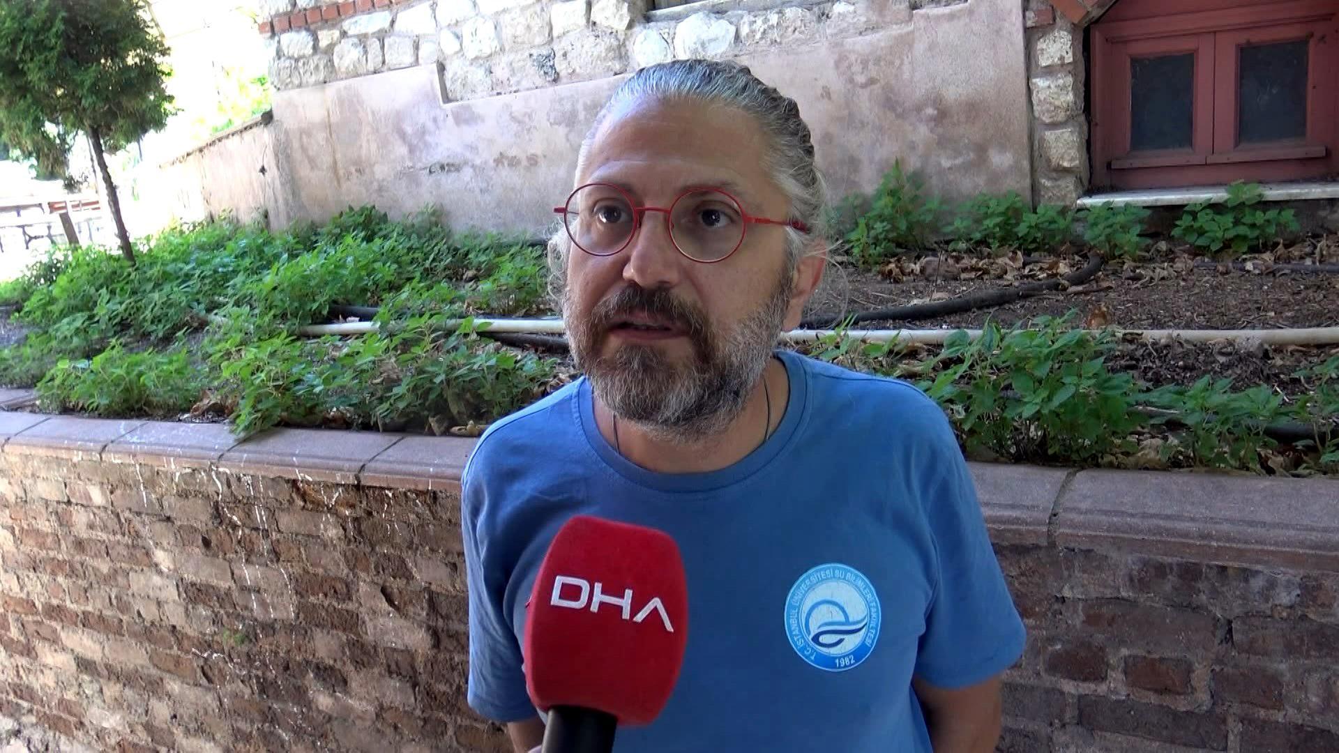 Ölen yunusu bir başka yunus 6 günde karaya sürükledi; bilimsel makalede ...