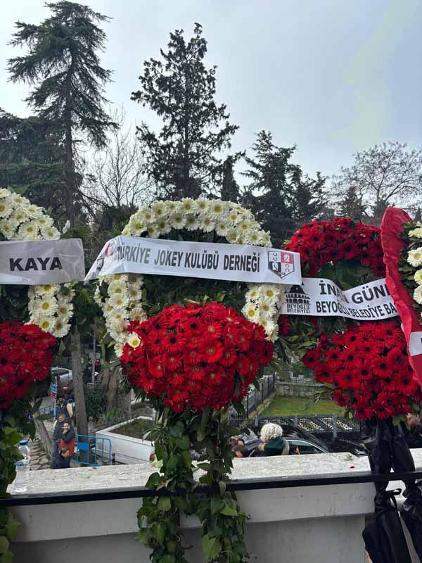 Fenerbahçeli yüzücü Vedia Nil Apak ve annesi Ferda Apak son ...