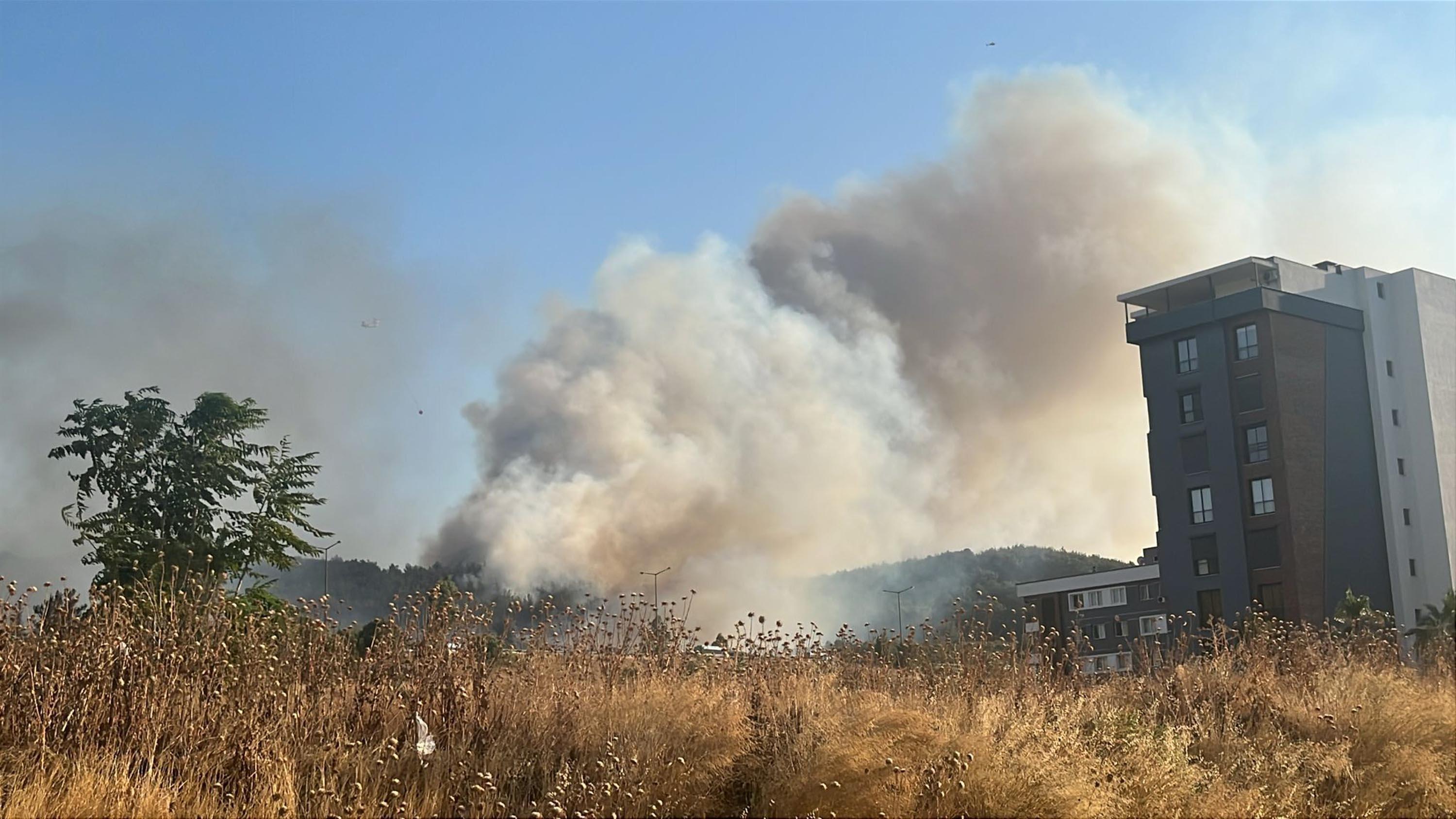 İzmir'de minibüste çıkan yangın ormana sıçradı: 3 gözaltı - Son Dakika ...