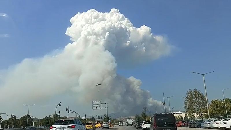 Bursa’da orman yangını - Video Haberleri