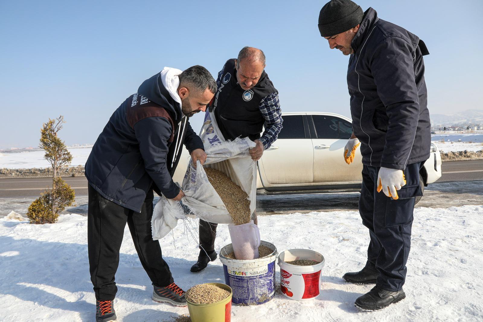 Van Büyükşehir Belediyesi, kuşlar için doğaya yem bıraktı - Van ...