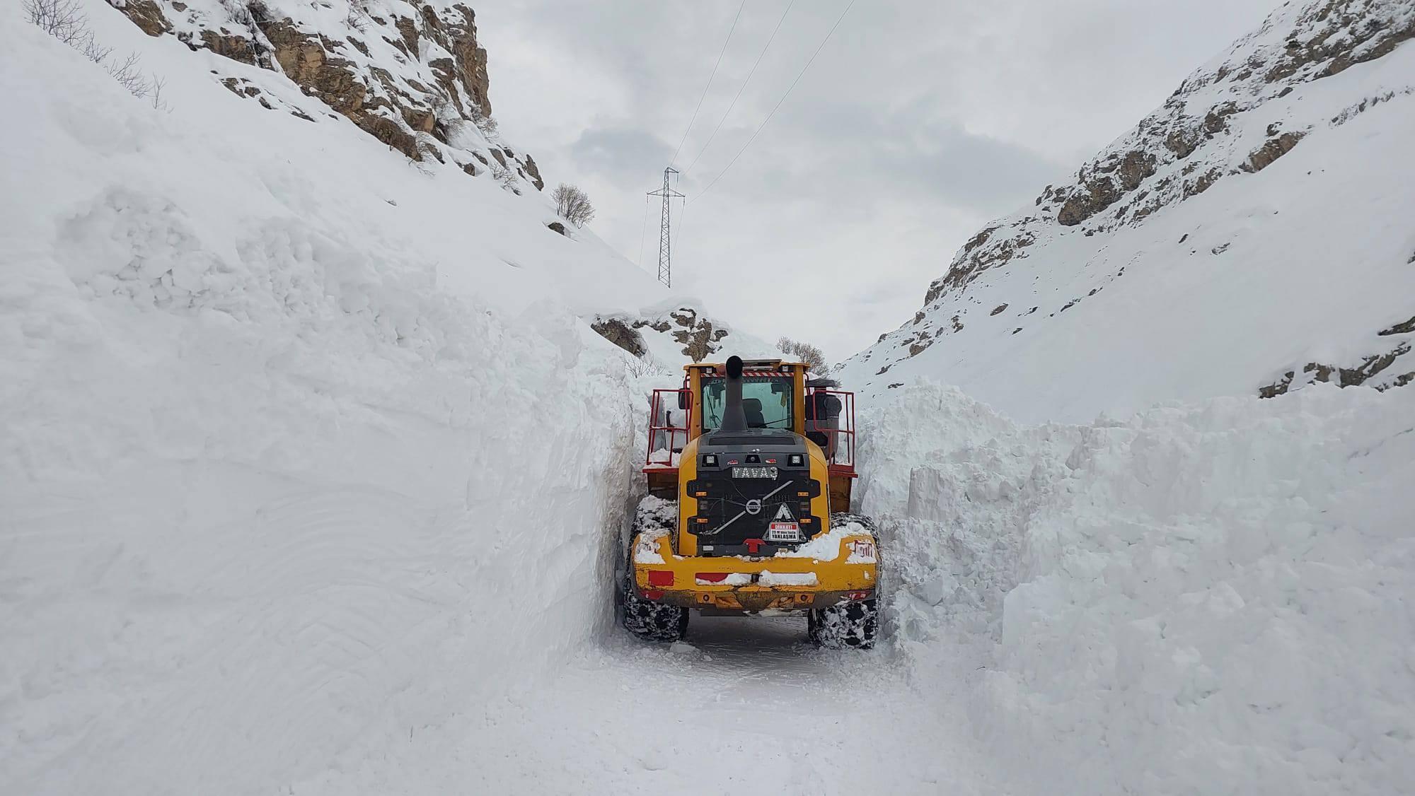 Hakkari-Van ve Hakkari-Çukurca kara yollarına çığ düştü - Hakkari ...