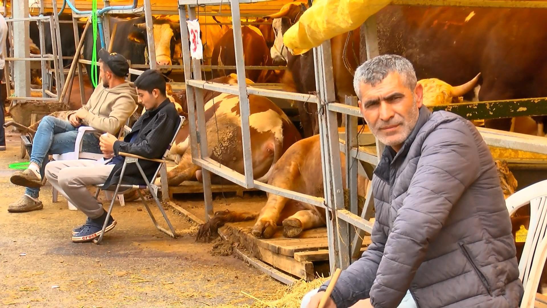 Kurban Bayramı'na 4 gün kala hayvan pazarlarında hareketlilik sürüyor ...