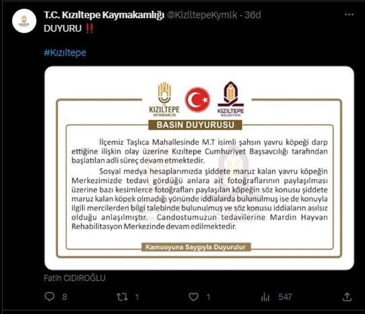 Yavru köpeği, demir çubukla başına defalarca vurarak öldürdü Yavru köpeği, demir çubukla başına defalarca vurarak öldürdü